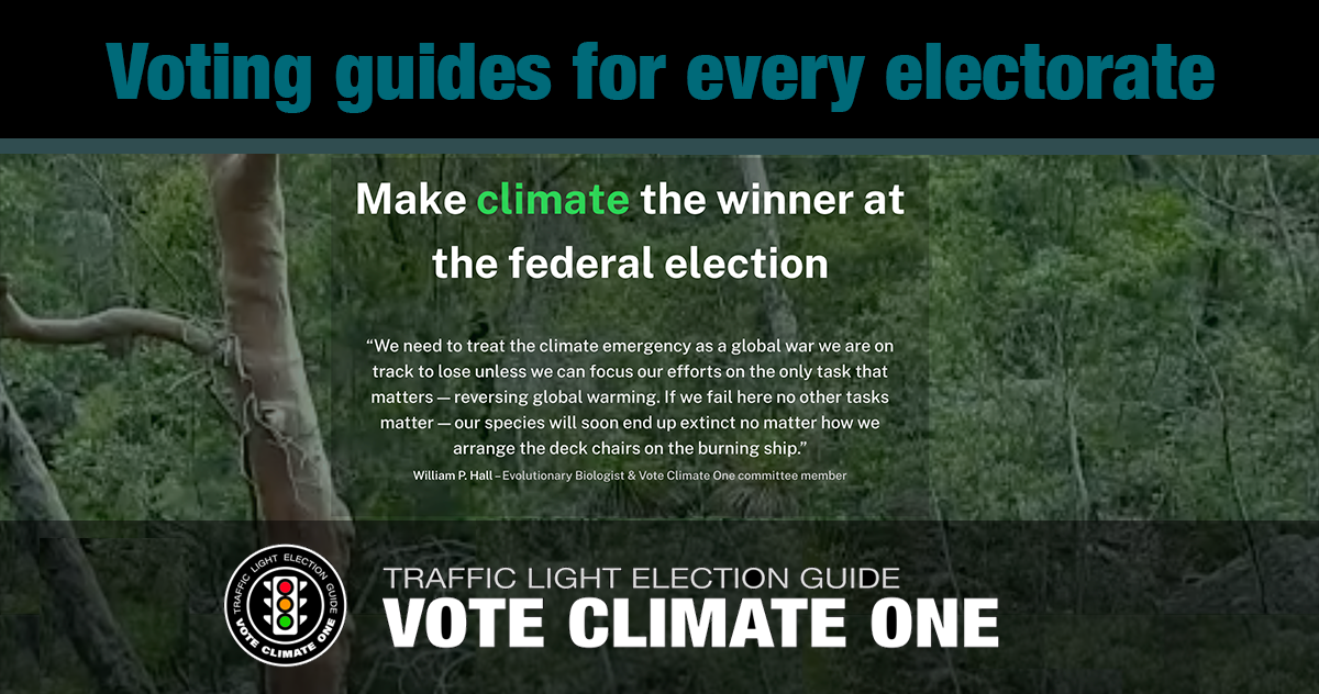 Vote Climate One - Use Our Traffic Light Election Guide
